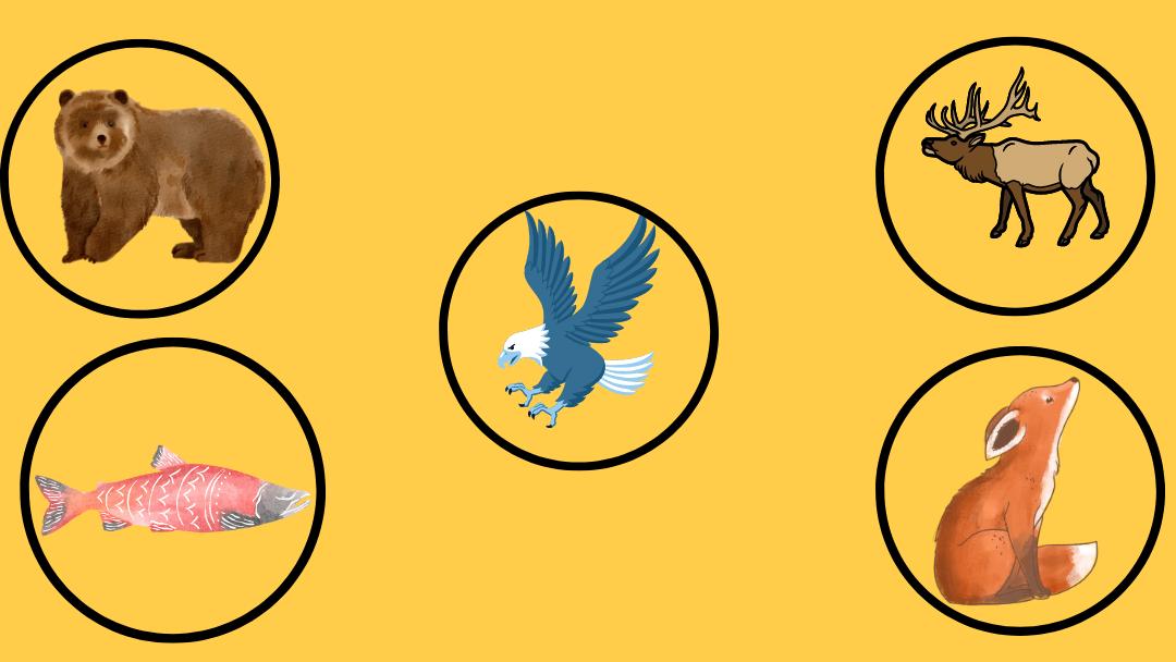 CASCADIA RULES - Game Rules