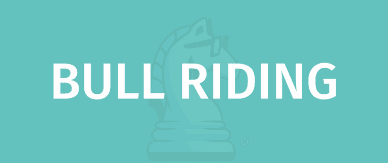 BULL RIDING RULES - Game Rules