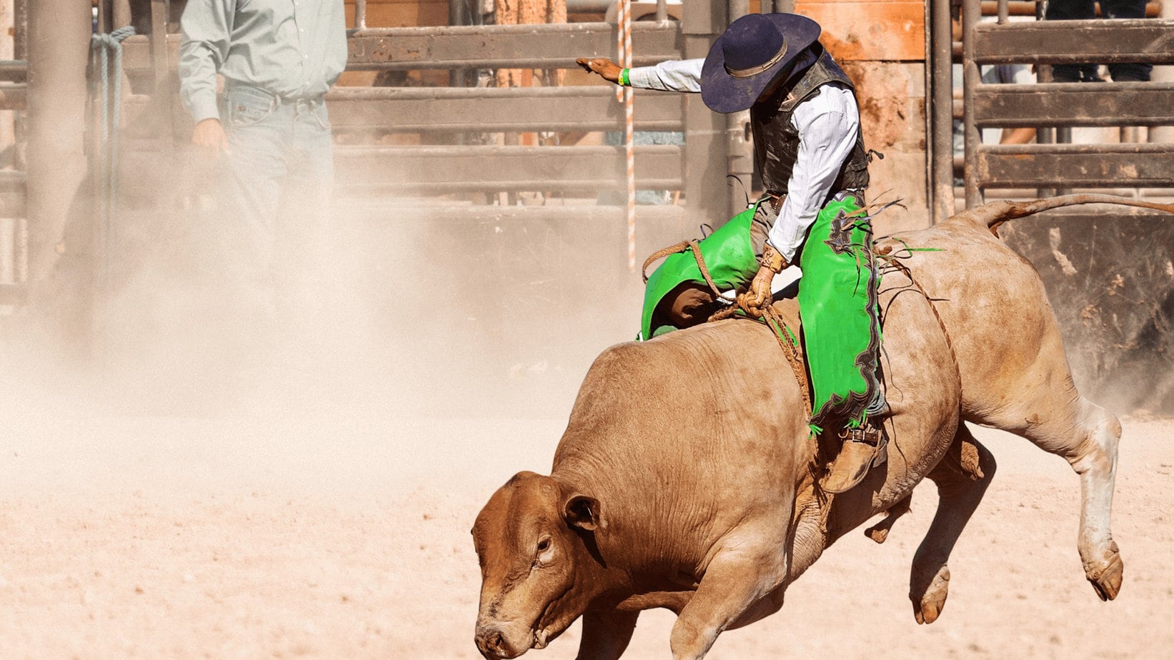 BULL RIDING RULES - Game Rules