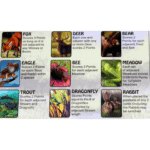 ECOSYSTEM Game Rules - How To Play ECOSYSTEM