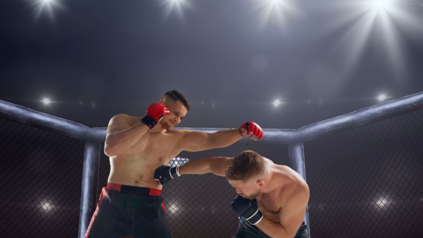 MIXED MARTIAL ARTS SPORT RULES - Game Rules
