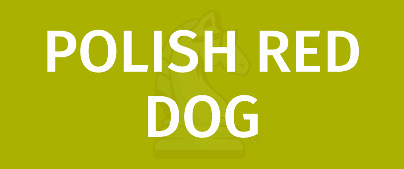 POLISH RED DOG Game Rules - How To Play POLISH RED DOG