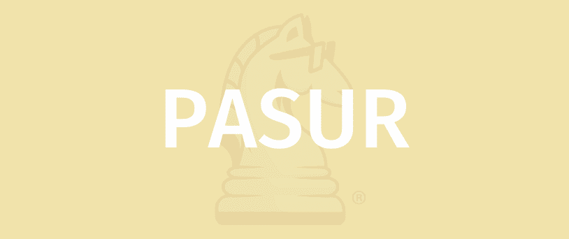 PASUR - Learn To Play With Gamerules.com