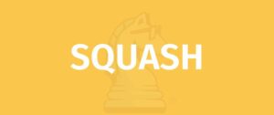 SQUASH SPORT RULES Game Rules - How to play Squash