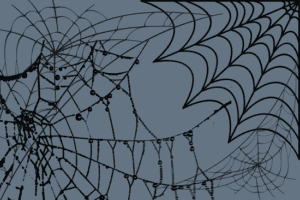 SPIDER WEB Game Rules - How To Play SPIDER WEB