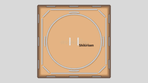 SUMO WRESTLING Game Rules - How To SUMO WRESTLE