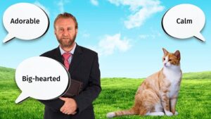 THE MINISTER’S CAT GAME RULES - How to Play The Minister's Cat