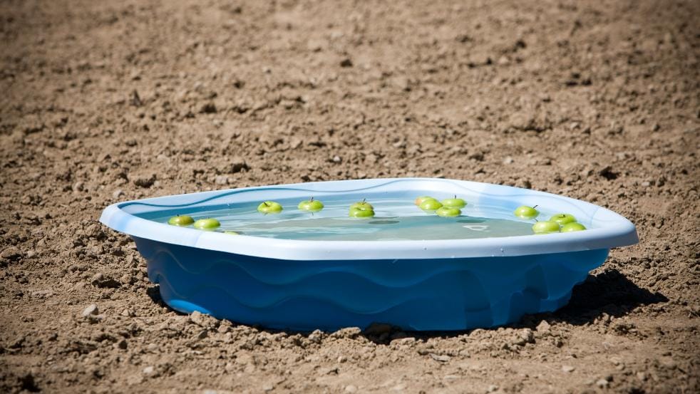 23 Kiddie Pool Games for Summer - Game Rules