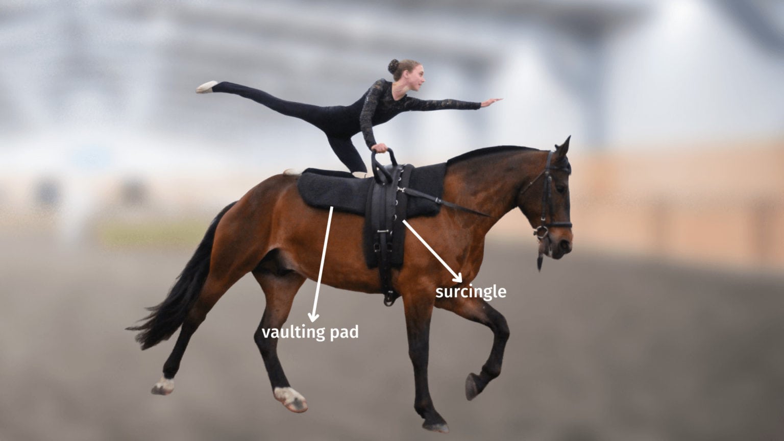 EQUESTRIAN VAULTING - Game Rules