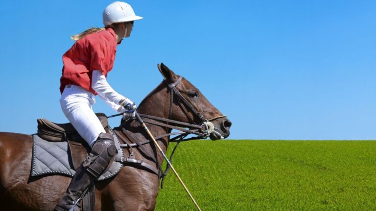 POLO SPORT RULES Game Rules - How to Play Polo